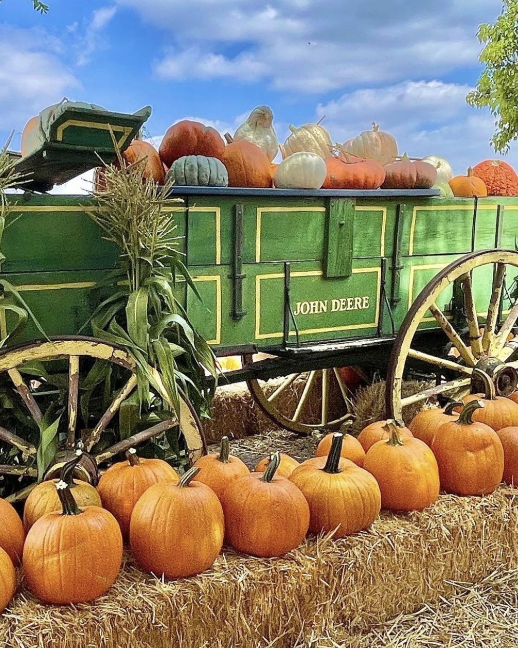 How To Celebrate Fall In Los Angeles - Purfect Sunday