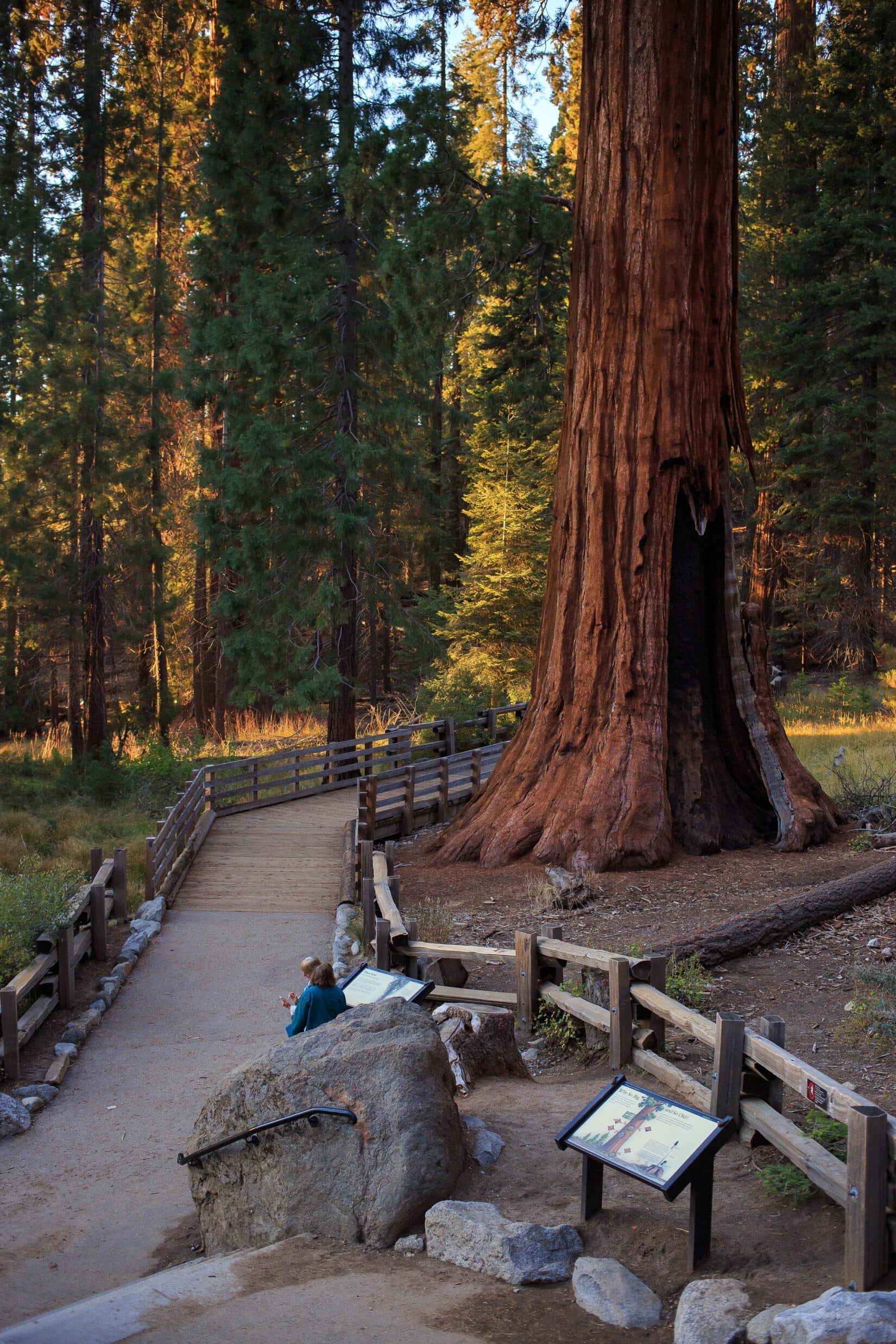 Three Rivers To Sequoia National Park: 17 Things to Do - Purfect Sunday