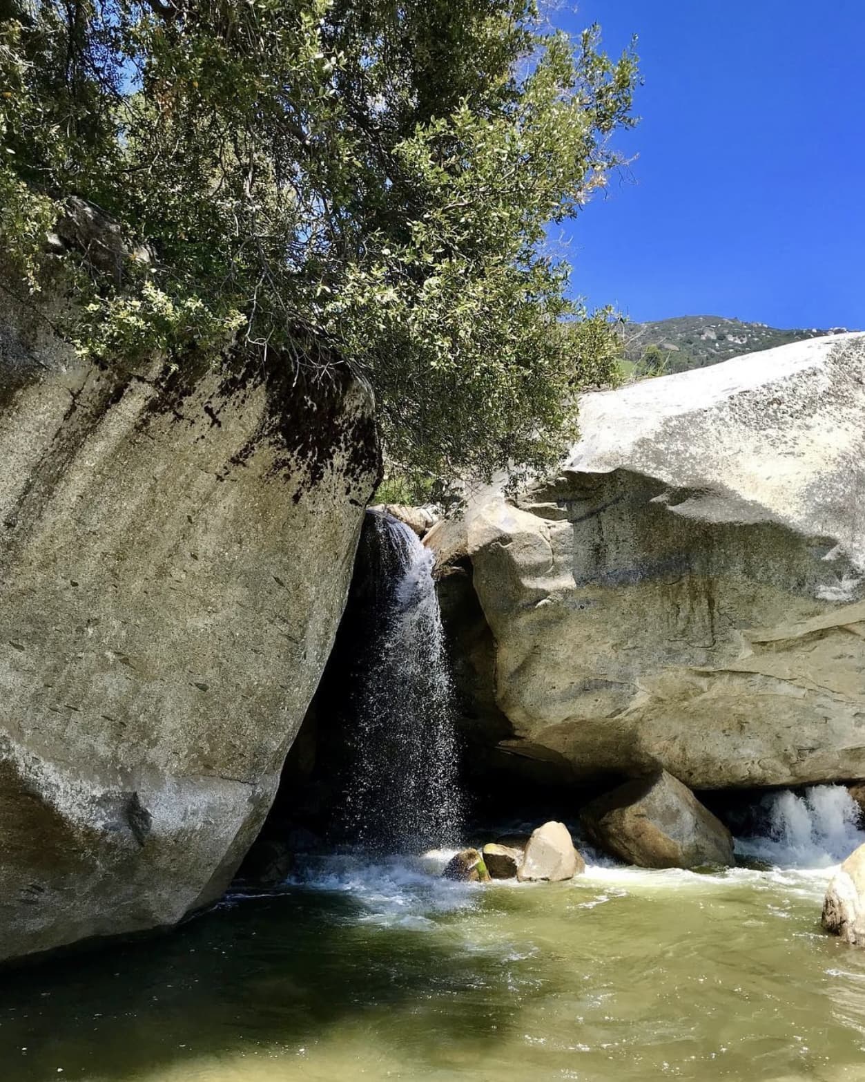 Three Rivers To Sequoia National Park: 17 Things to Do - Purfect Sunday